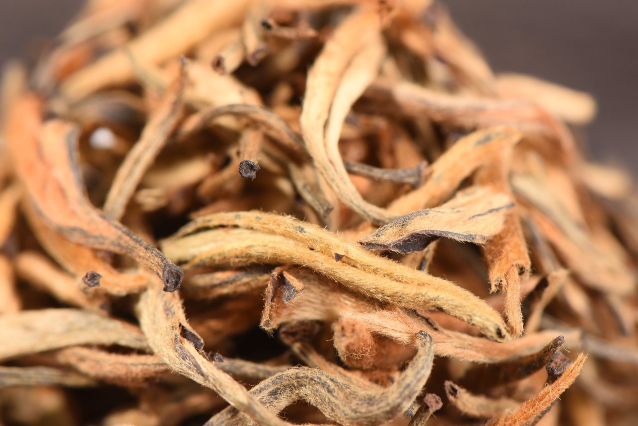 Review of Yunnan Sourcing Jinggu "Da Jin Ya" Camellia Taliensis Black ...