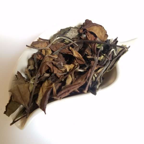 Review of Caina Tea Shou Mei White by BuggaBoo | RateTea