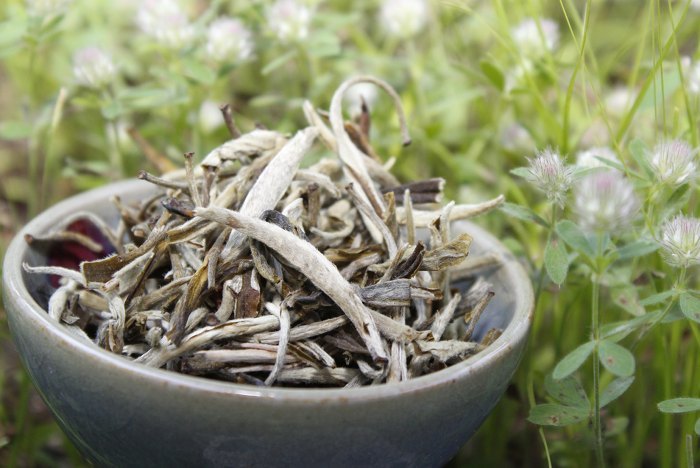 Yunnan White Jasmine - Verdant Tea - Ratings & Reviews | RateTea